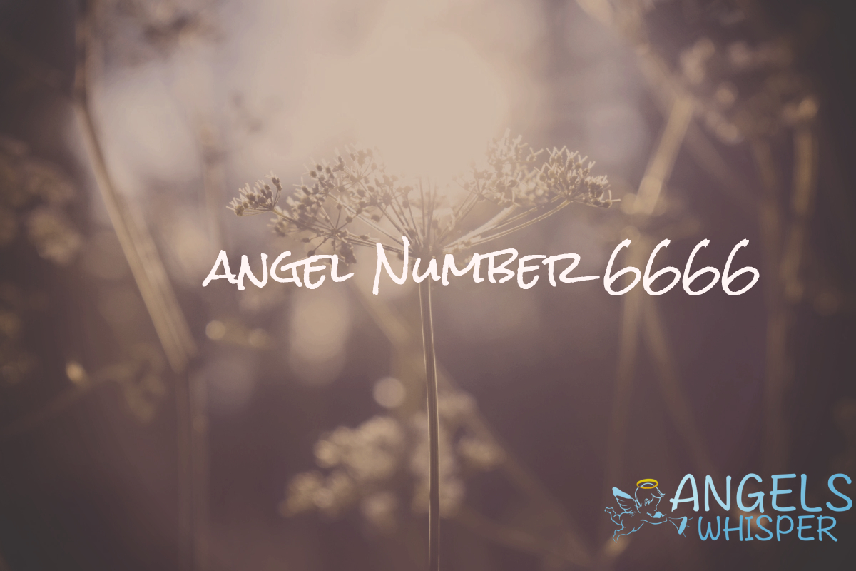6666 Angel Number Meaning, Twin Flame & Love | Angel Whisper
