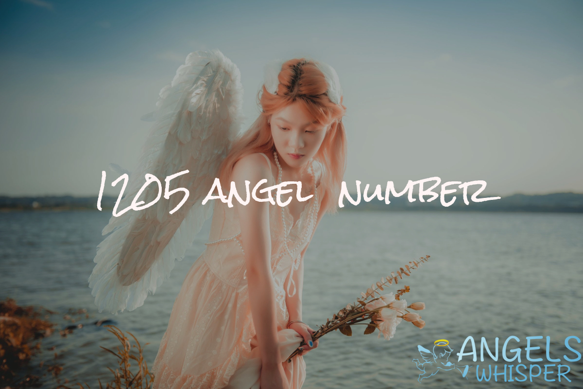 1205 Angel Number Meaning, Twin Flame & Reasons Seeing It | Angel Whisper