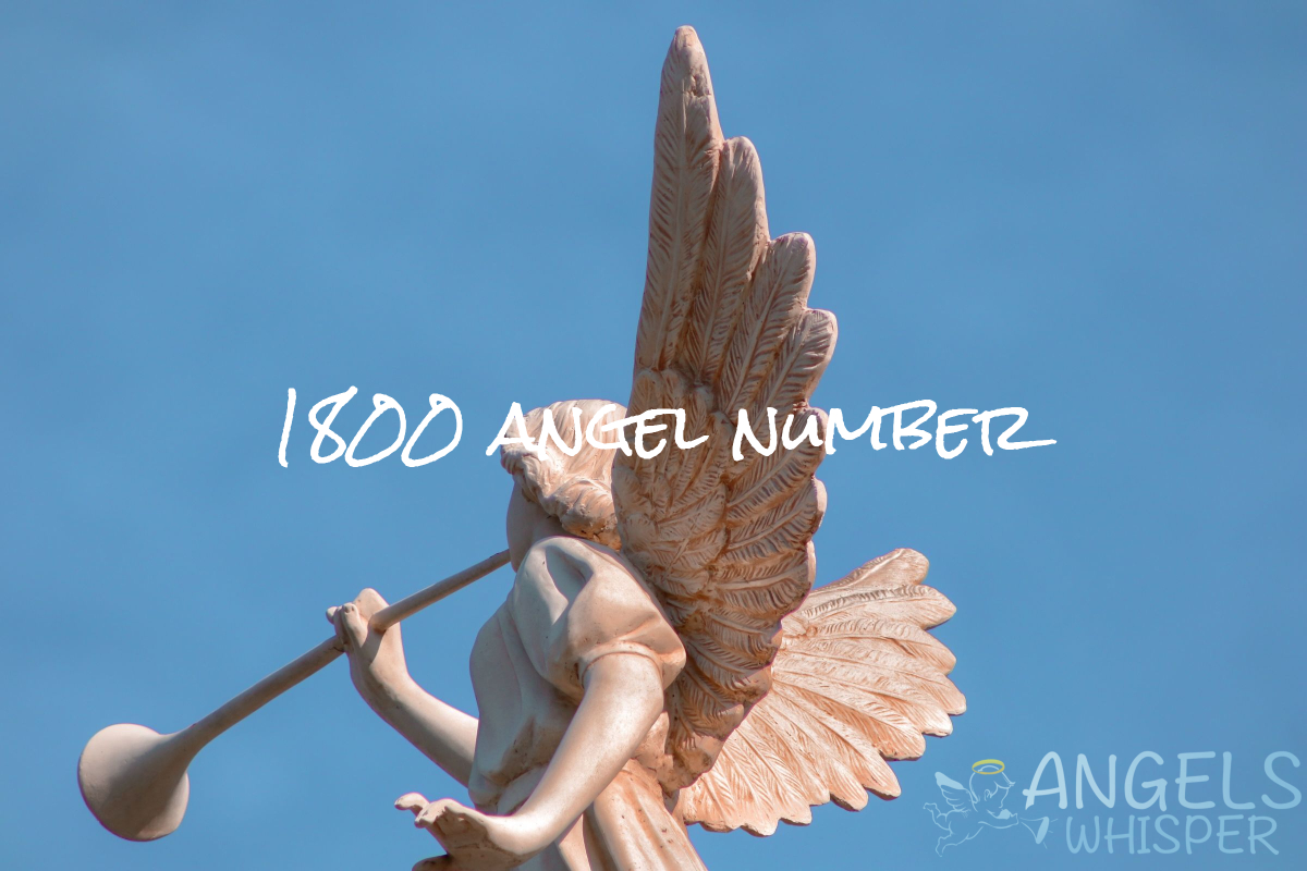 1800 Angel Number Meaning, Twin Flame & Love | Angel Whisper